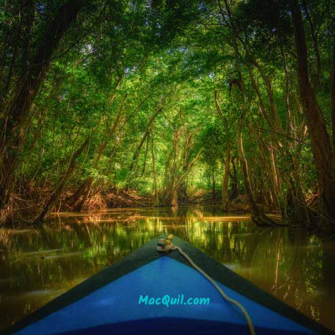 The Best Caribbean Islands You Must Visit - MacQuil