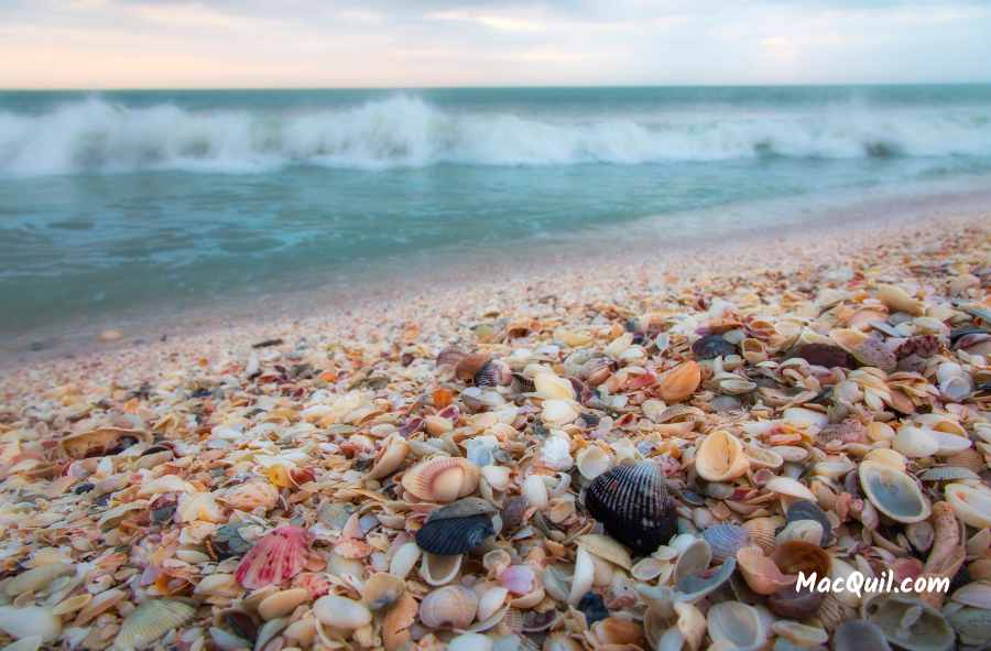 Discover the Secrets of the Top 10 Sunny Beaches in Florida - MacQuil