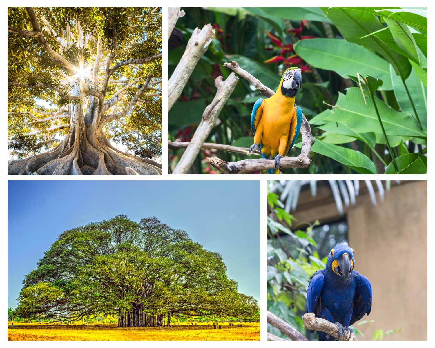 Vacation in Bali: Transform your Body and Spirit - MacQuil